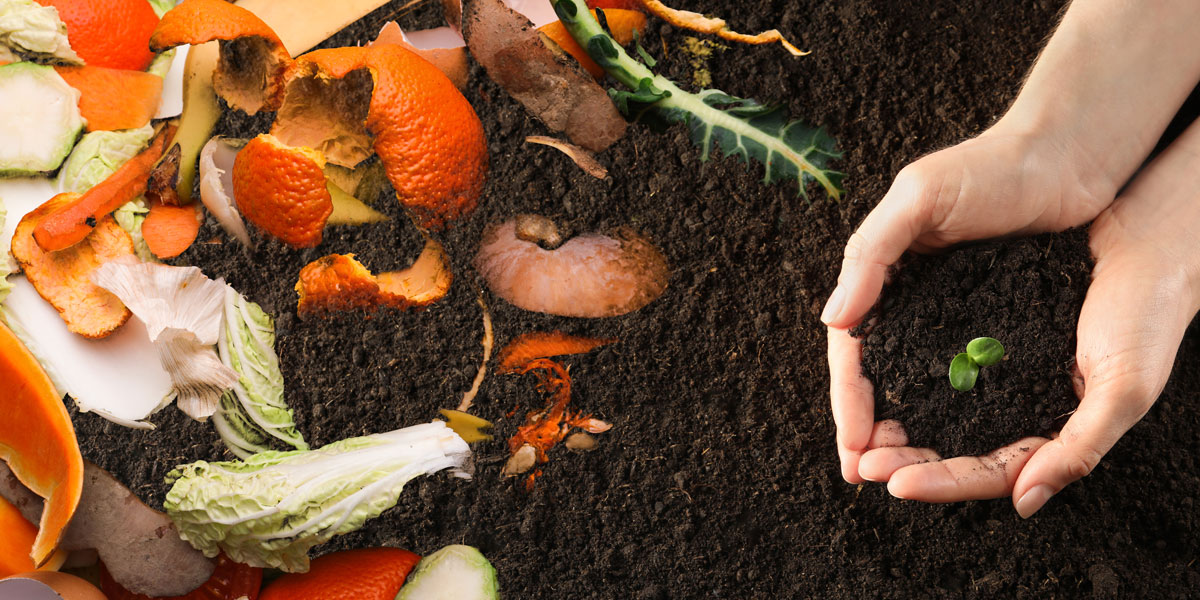 Introducing Organic Waste Central Park Tower Perth